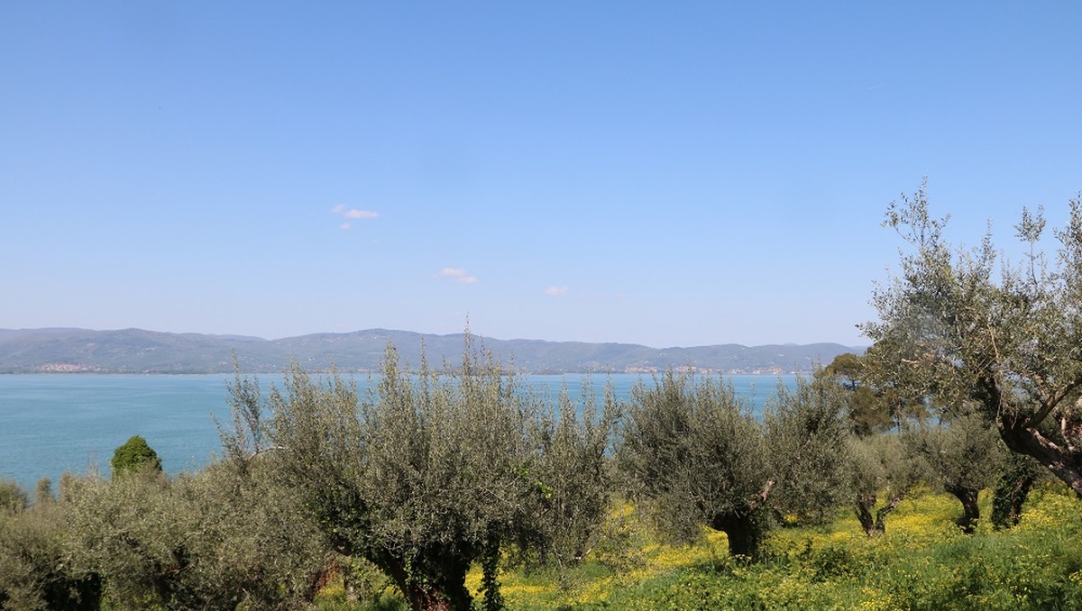 Lake Trasimeno Bike Tour | Anima Toscana Bike Tours Lake Trasimeno Bike Tour | Anima Toscana Bike Tours